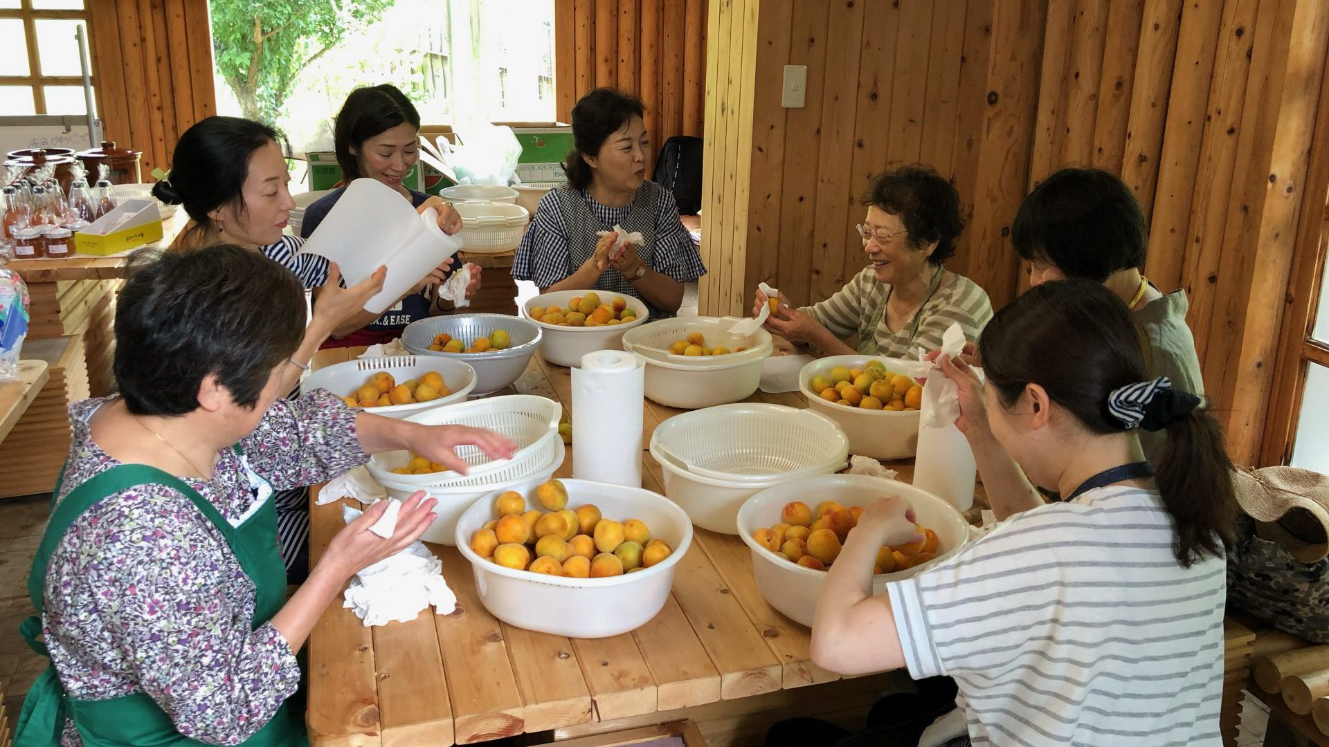 杉田梅とは | 横浜 旬・菜・果